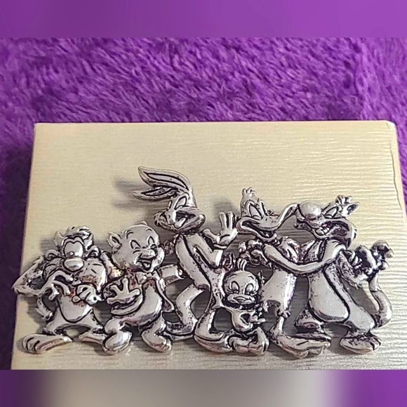 Warner Bros. | Jewelry | Vintage Looney Tunes Warner Brothers Brooch ...